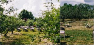 Tabora Farm and Orchard Wedding - jessicamannsphotography.com
